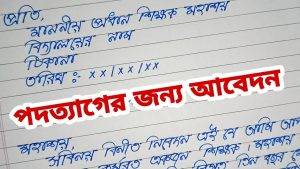 Resign Letter Bangla: একটি পেশাদার ইস্তফাপত্র লেখার সঠিক পদ্ধতি ...